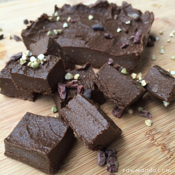 Raw Fudge Brownie Bites Recipe {nut-free, gluten-free, vegan}